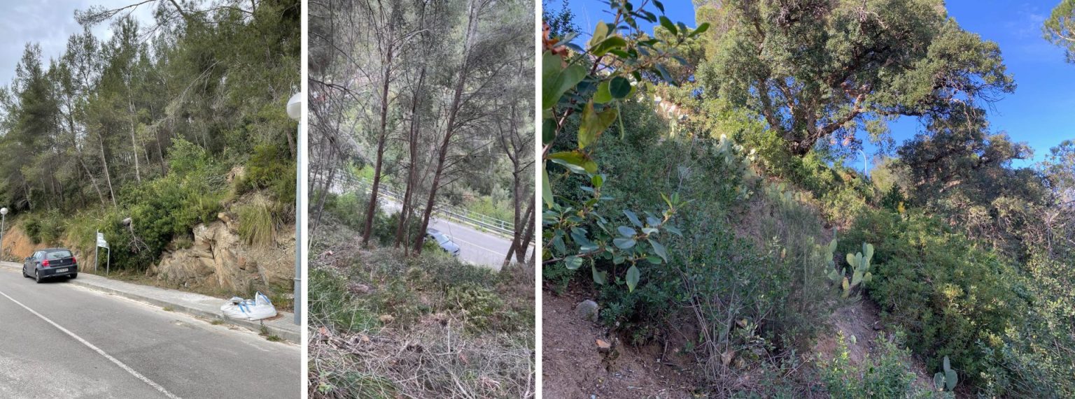 Building on a slope: pros and cons - ZEST architecture