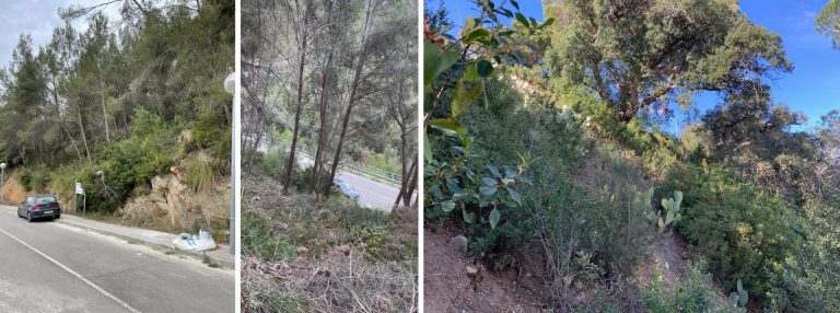 Building on a slope: pros and cons - ZEST architecture